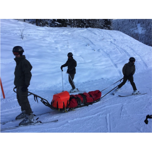 Universal Transportation and Rescue System